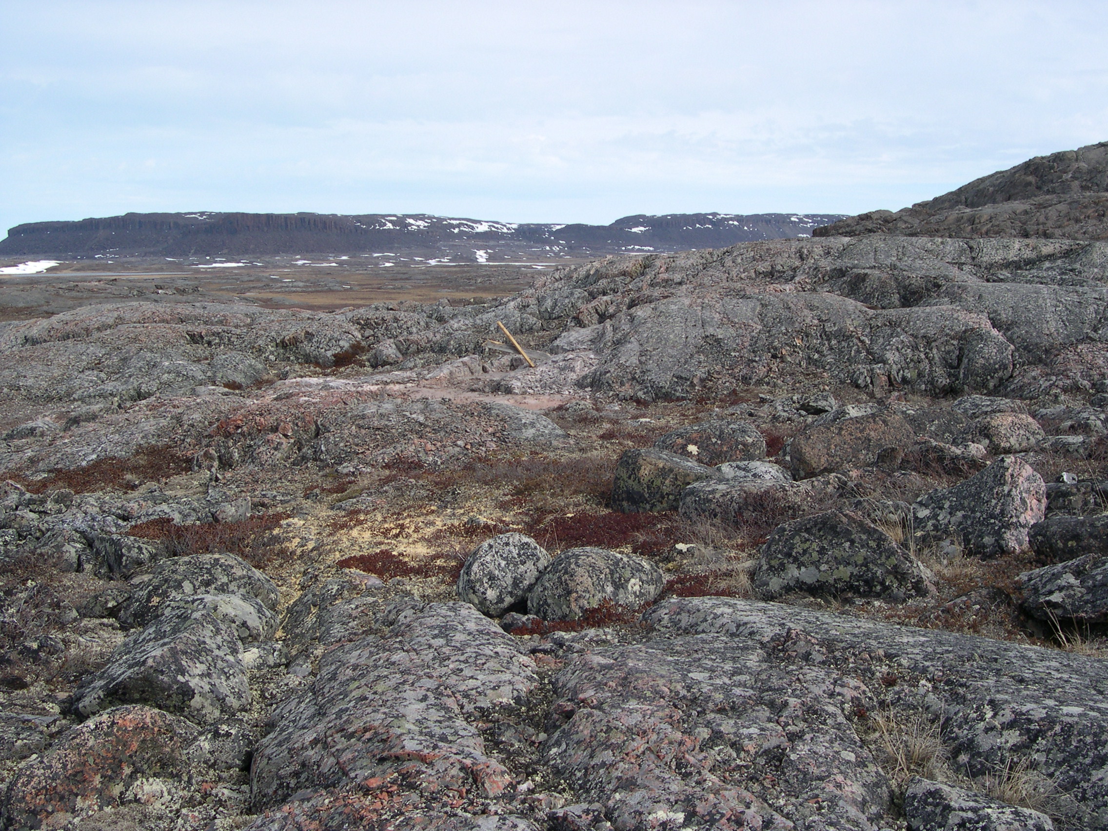 Arcadia Bay Project – APEX Geoscience Ltd.