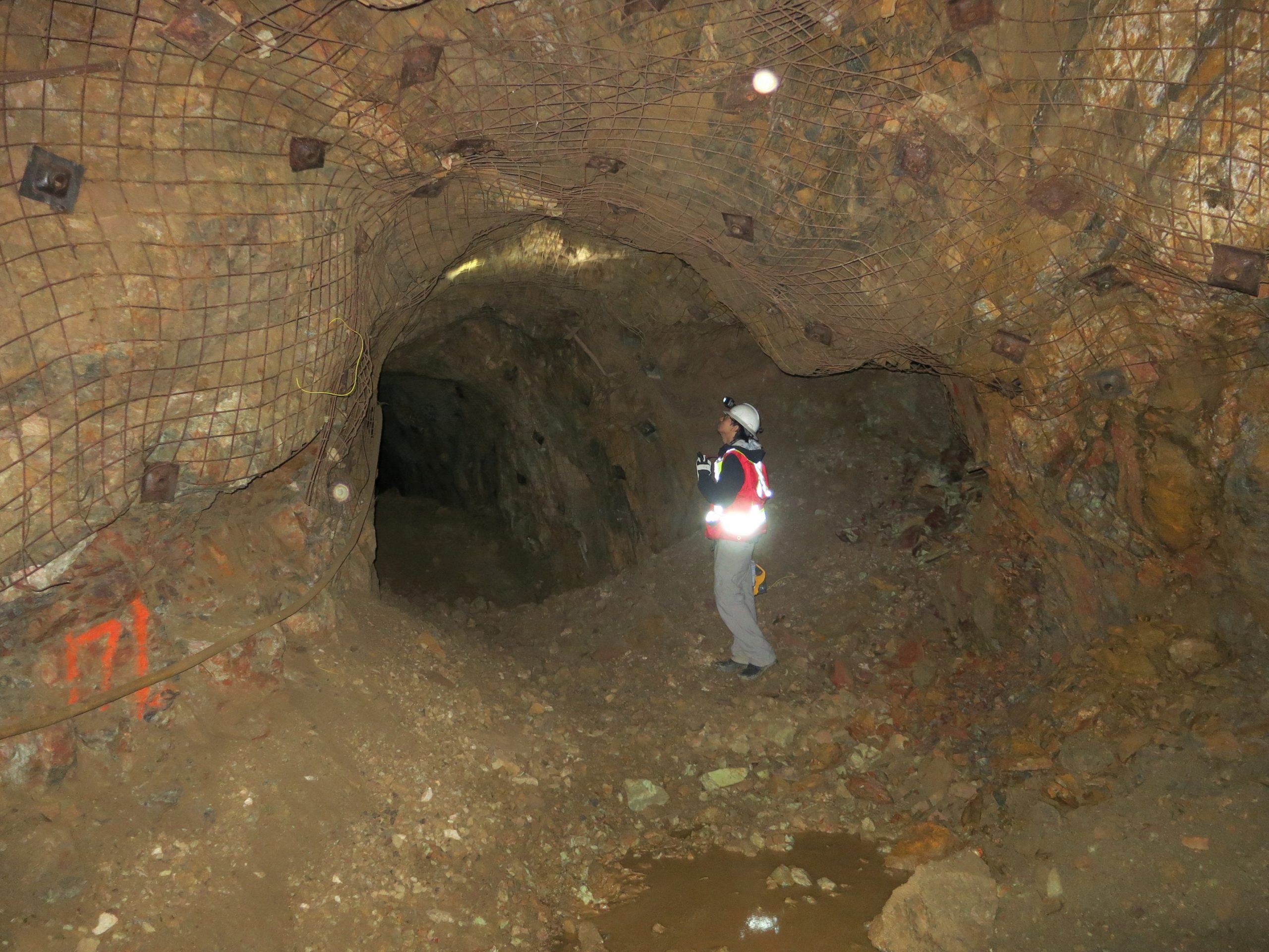 Alder Gulch Gold Project – APEX Geoscience Ltd.