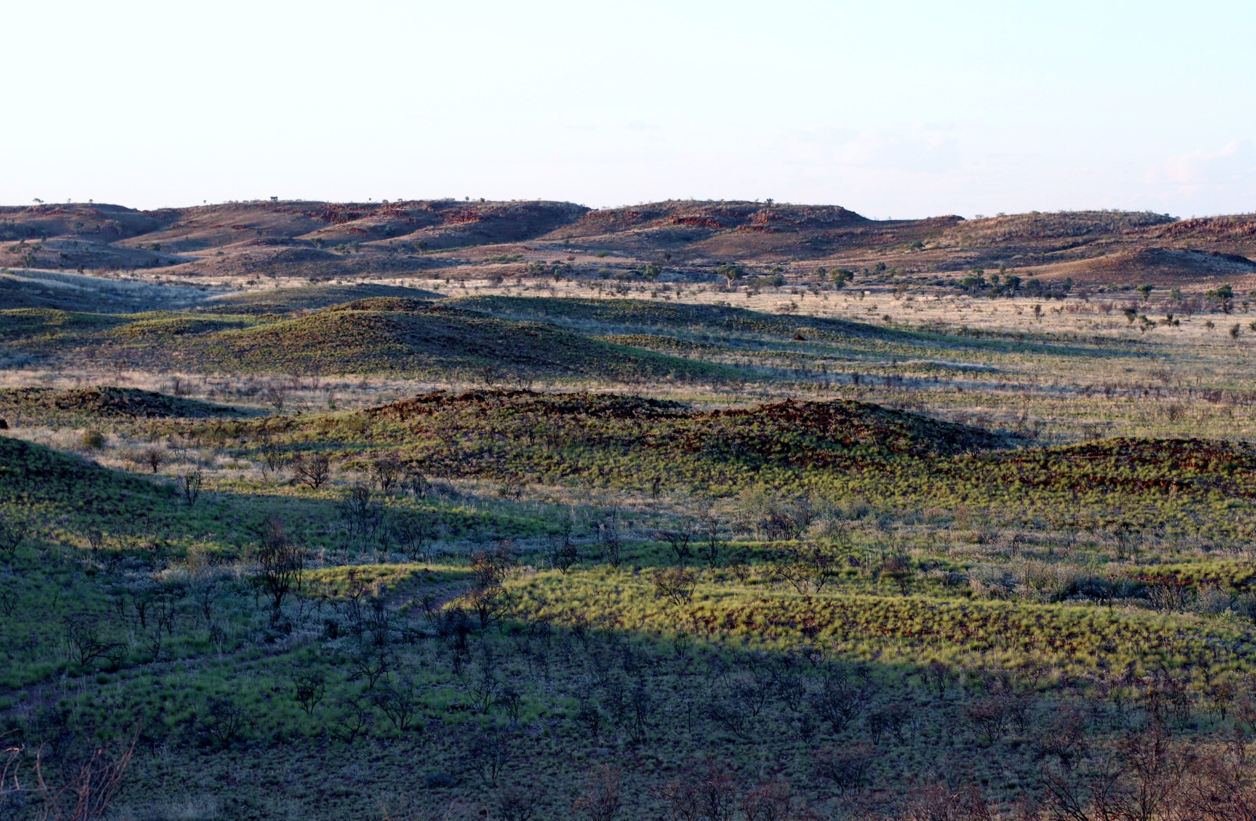 South Telfer – APEX Geoscience Ltd.