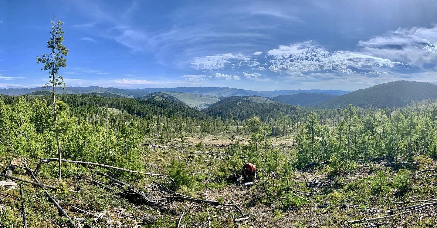 Basin Gulch – APEX Geoscience Ltd.