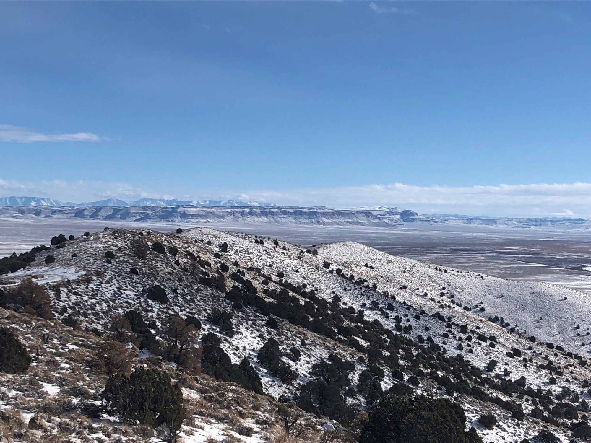 Bolo – APEX Geoscience Ltd.