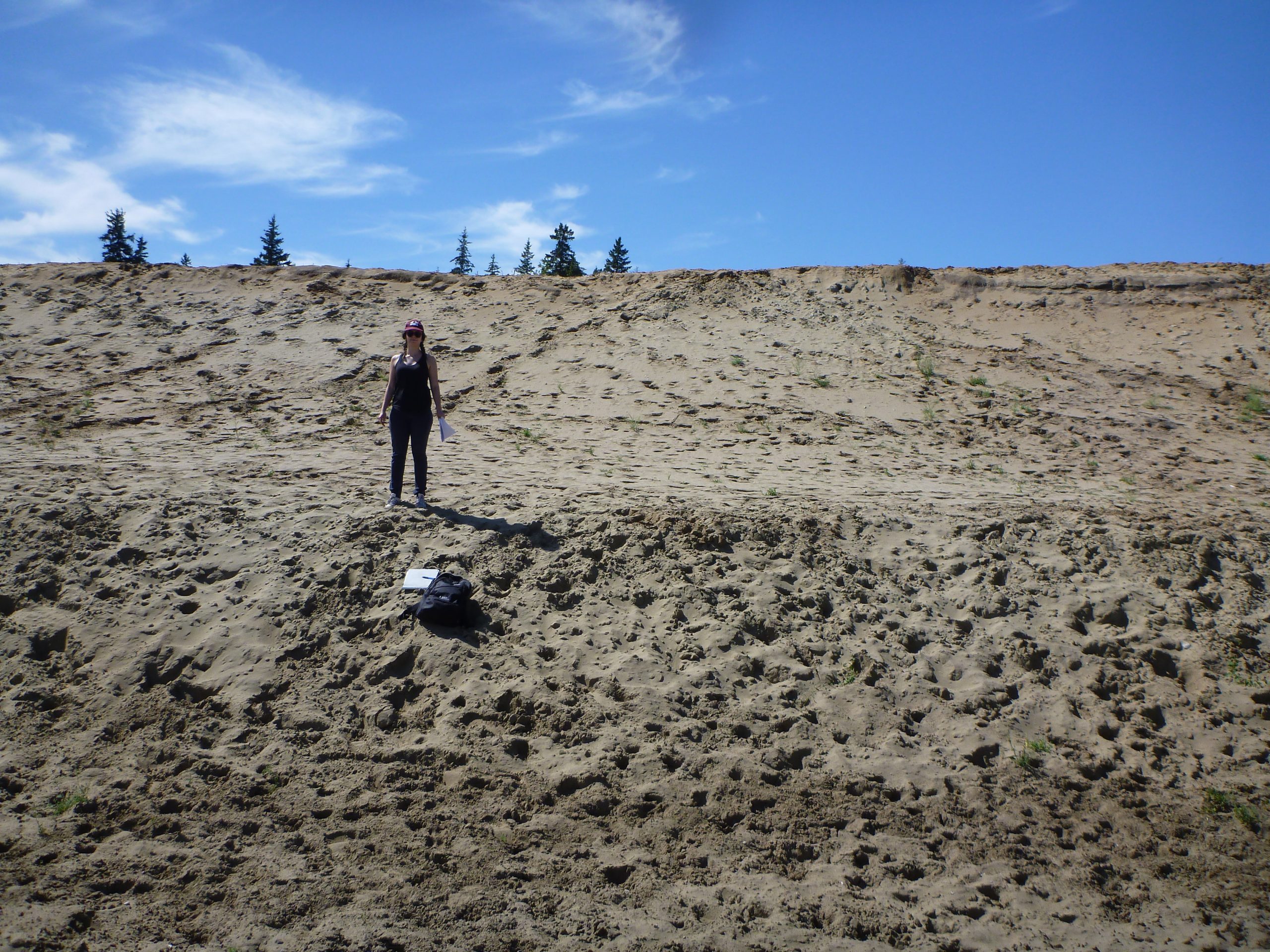 Bruderheim area – APEX Geoscience Ltd.