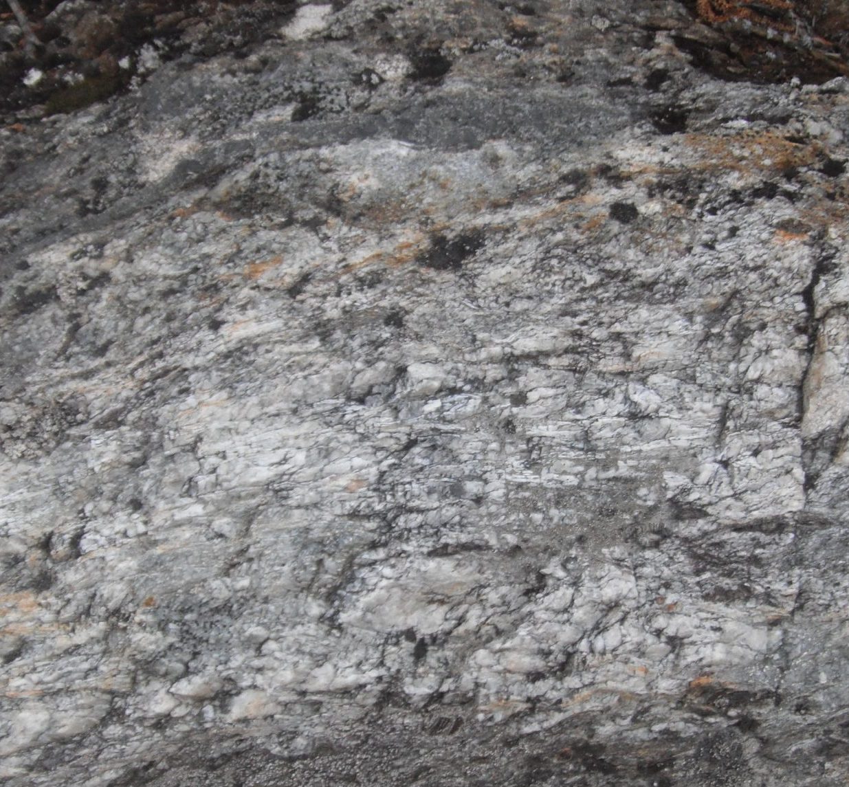 Commodities – APEX Geoscience Ltd.