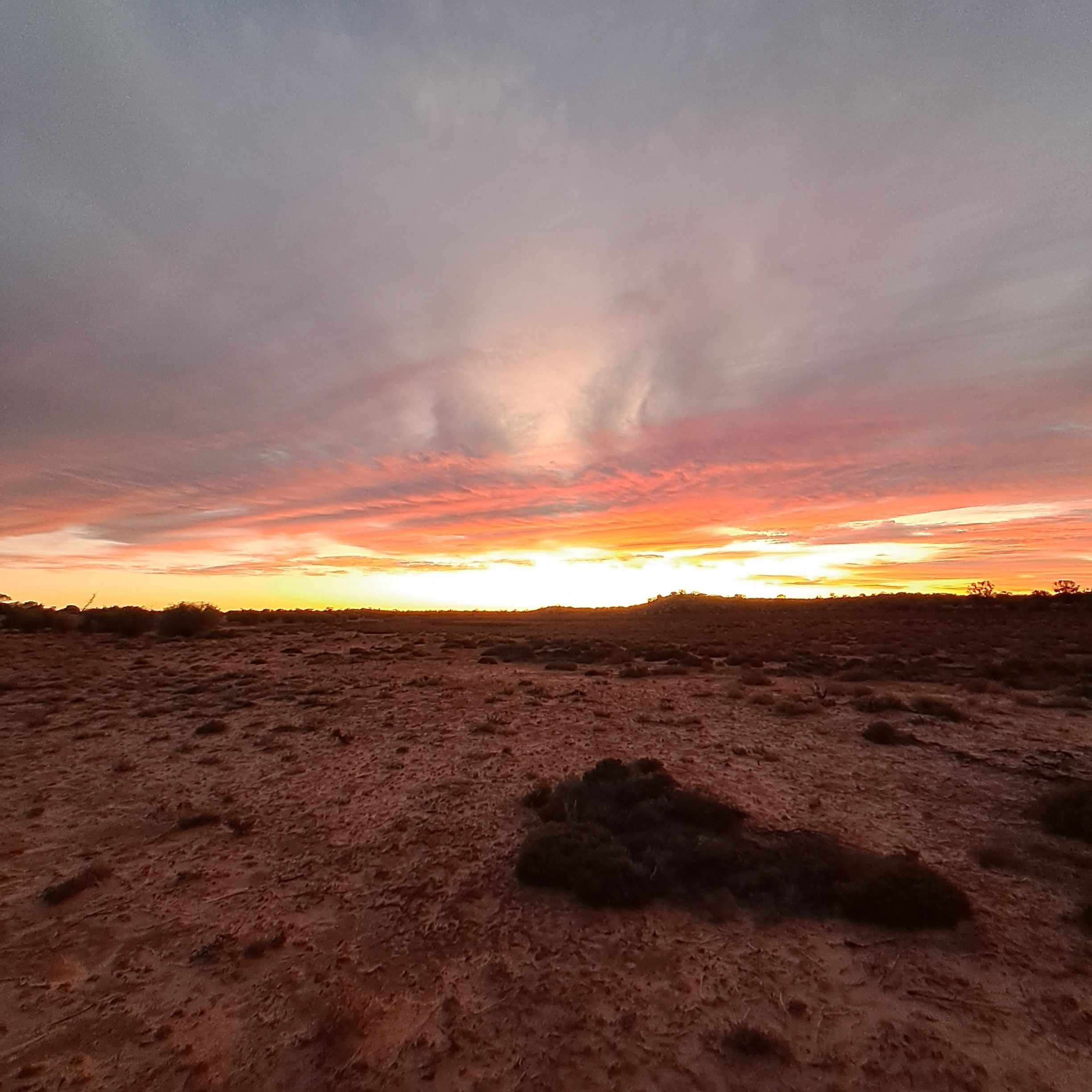 Cosmo – APEX Geoscience Ltd.