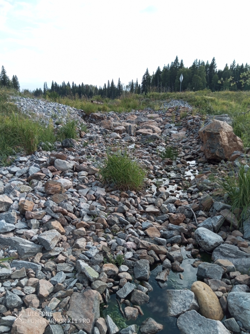 Filion – APEX Geoscience Ltd.