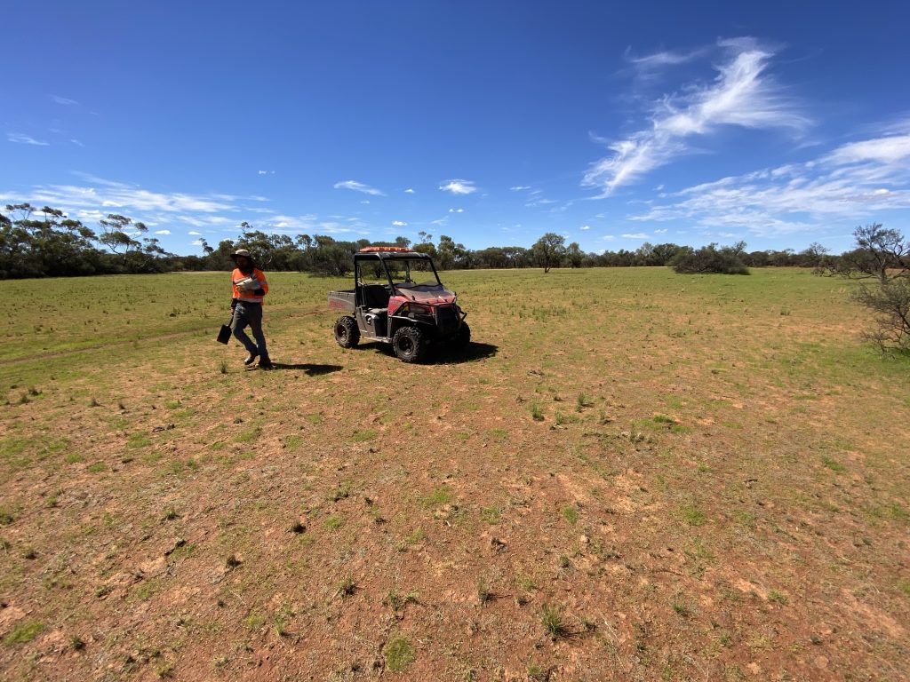 Firebird – APEX Geoscience Ltd.