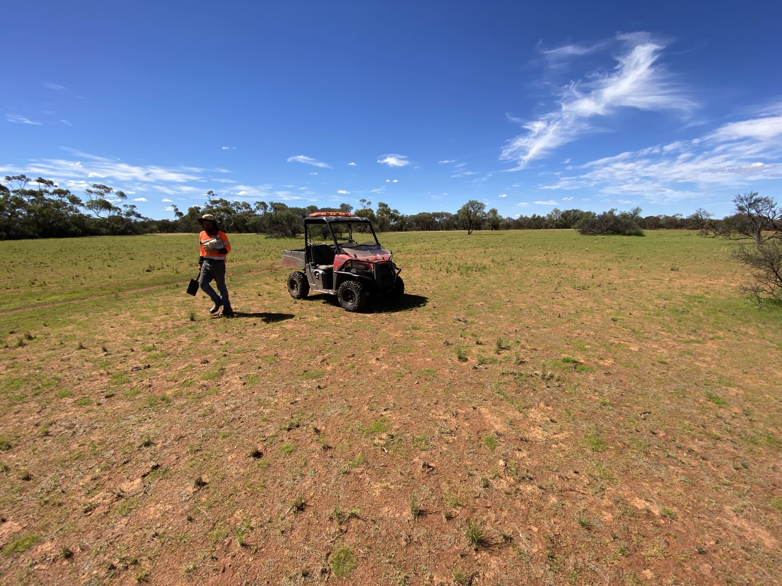 Firebird – APEX Geoscience Ltd.