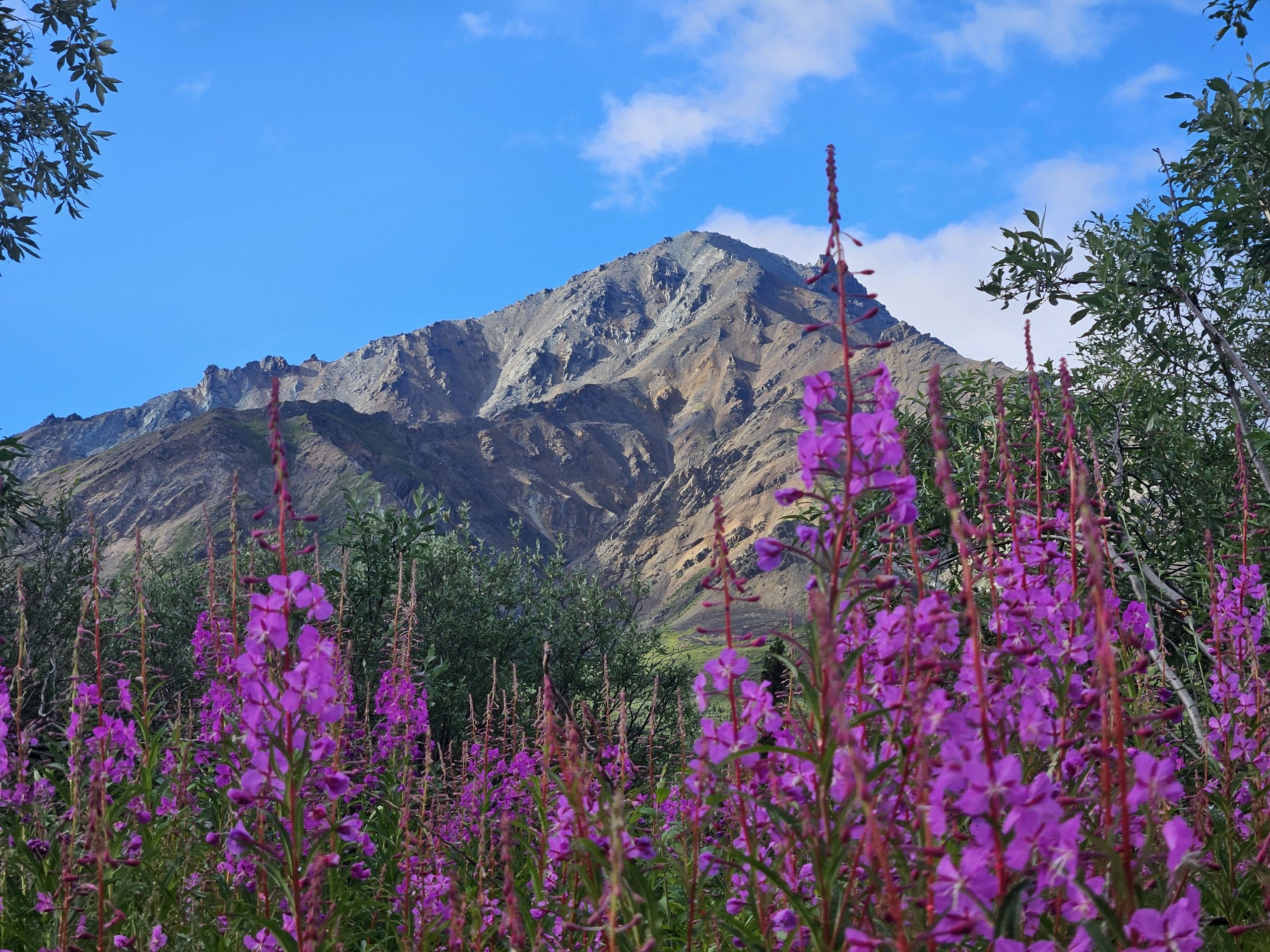 Red Mountain – APEX Geoscience Ltd.